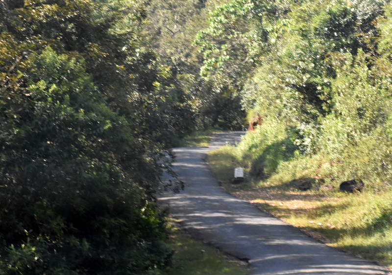 philipveerasingam: On the road from Laggala to Riverston, Mahiyangana ...