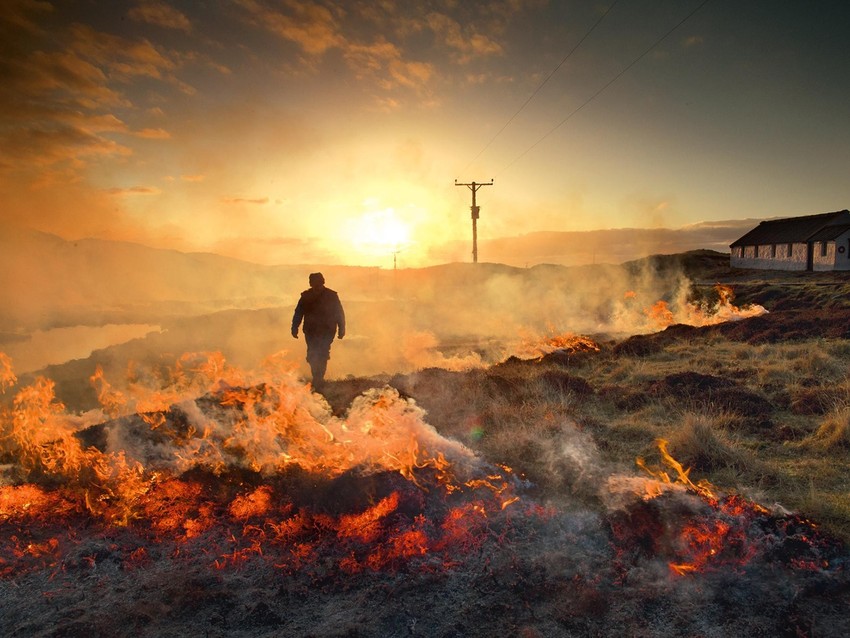 Straight From The Nihilistic Mind