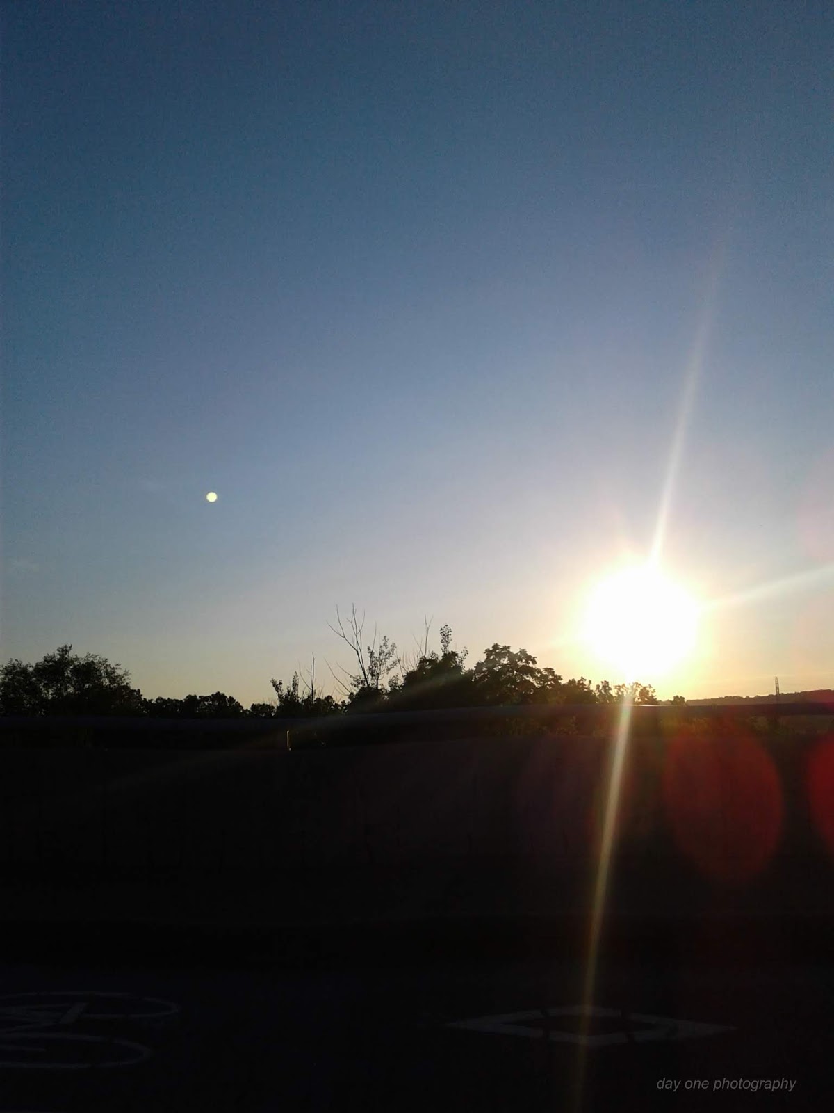 Day One Photography: Sunlight