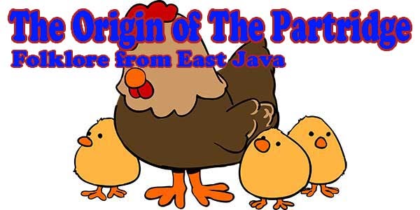 Folklore for Kids: The Origin of The Partridge