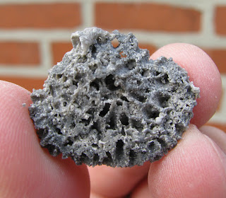 Views of the Mahantango: Beekite preserved fossils