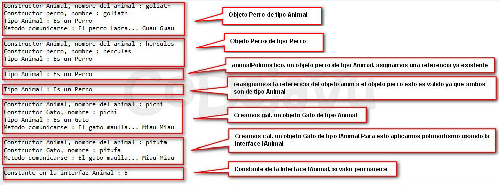 CoDejaVu: Ejemplo de Polimorfismo En Java CoDejaVu: Ejemplo de Polimorfismo En Java