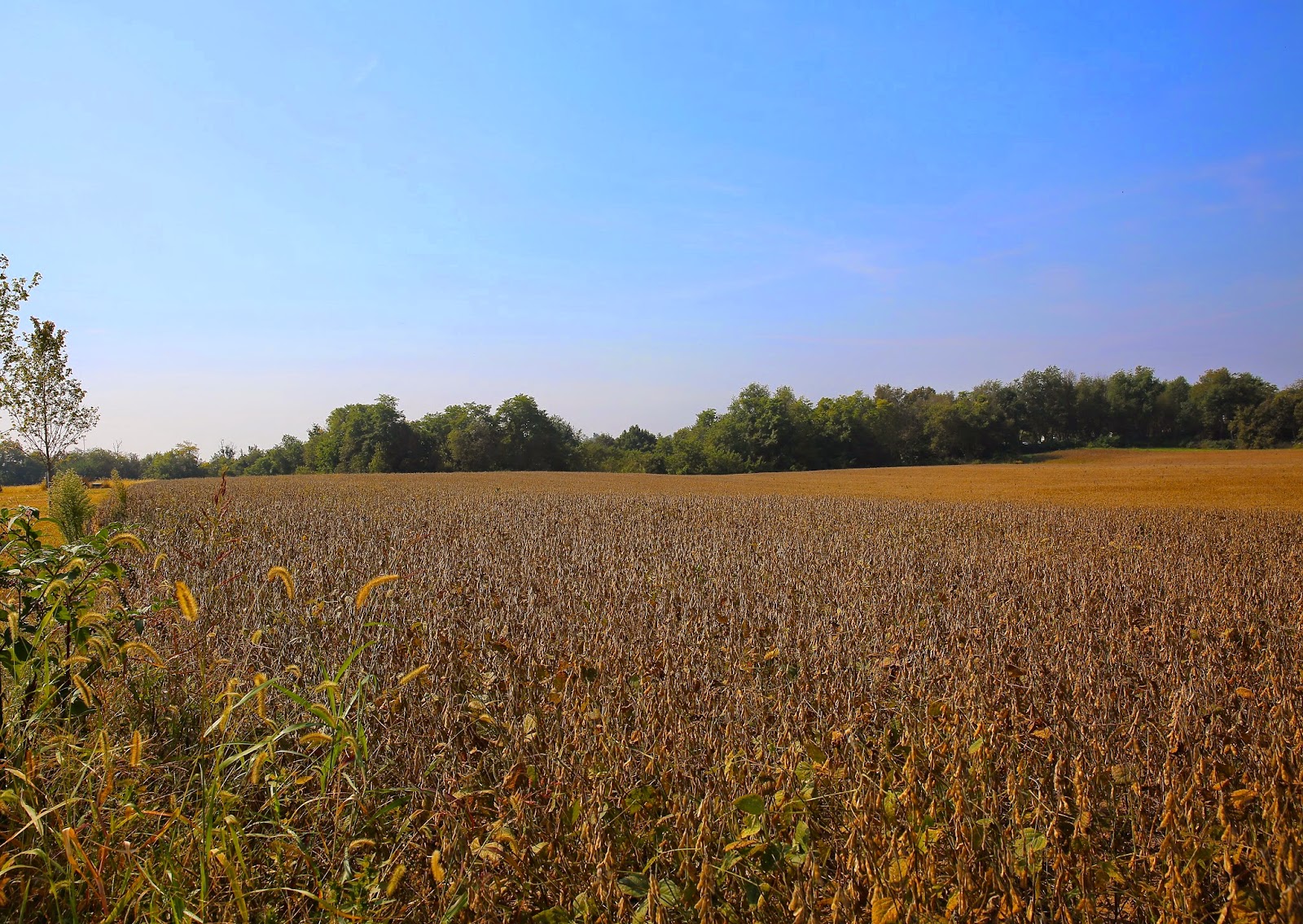Sweet Southern Days: Scenic Backroads of Rural Kentucky