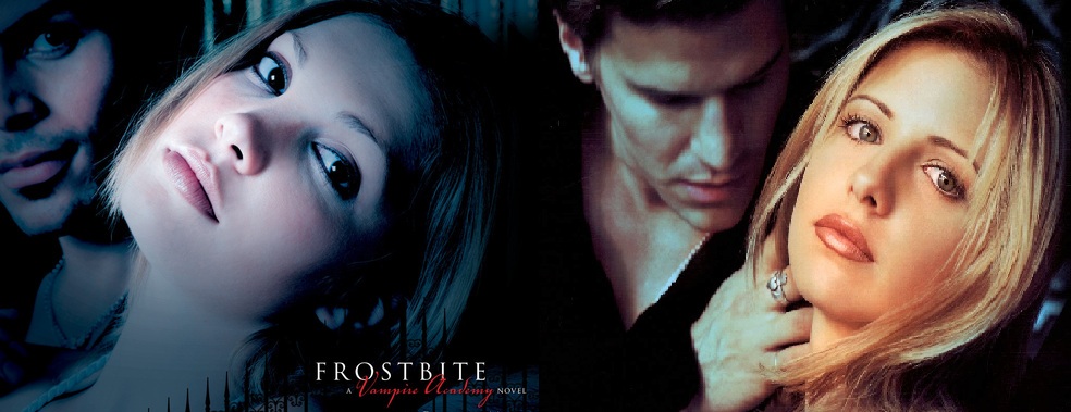 I don't just read books. I devour them.: Book #19: Frostbite