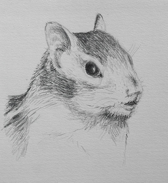 ARTIQUERYROSE: CHIPMUNK DRAWING