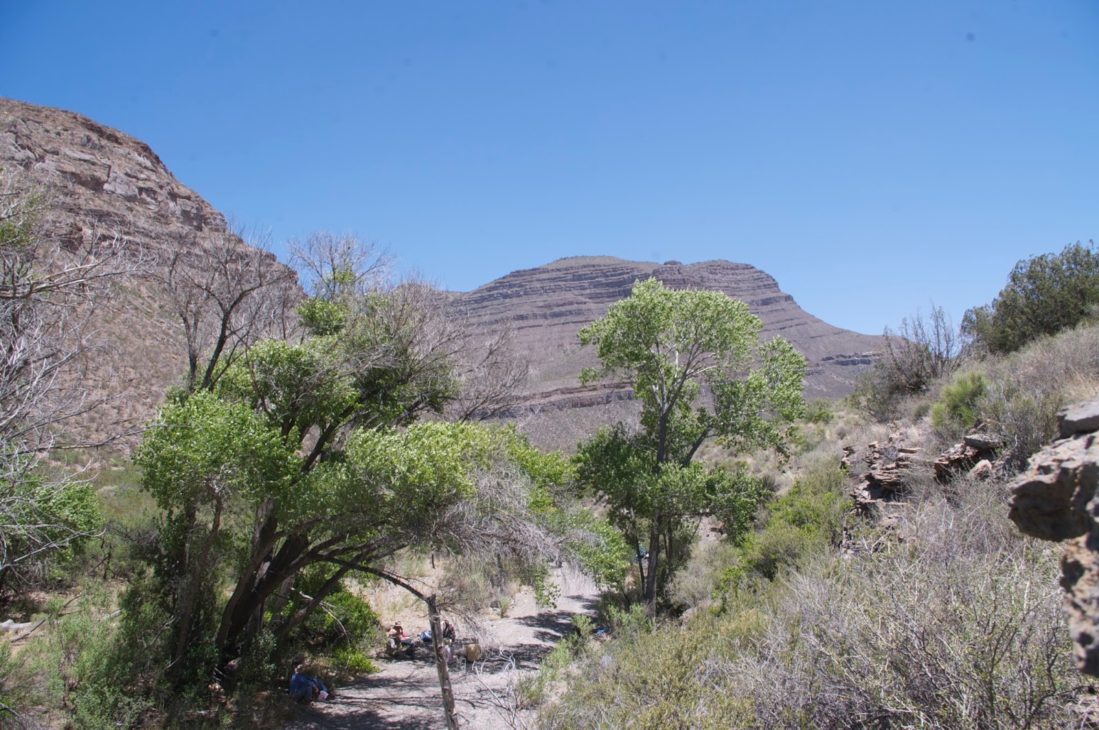 Southern New Mexico Explorer: Hembrillo Canyon