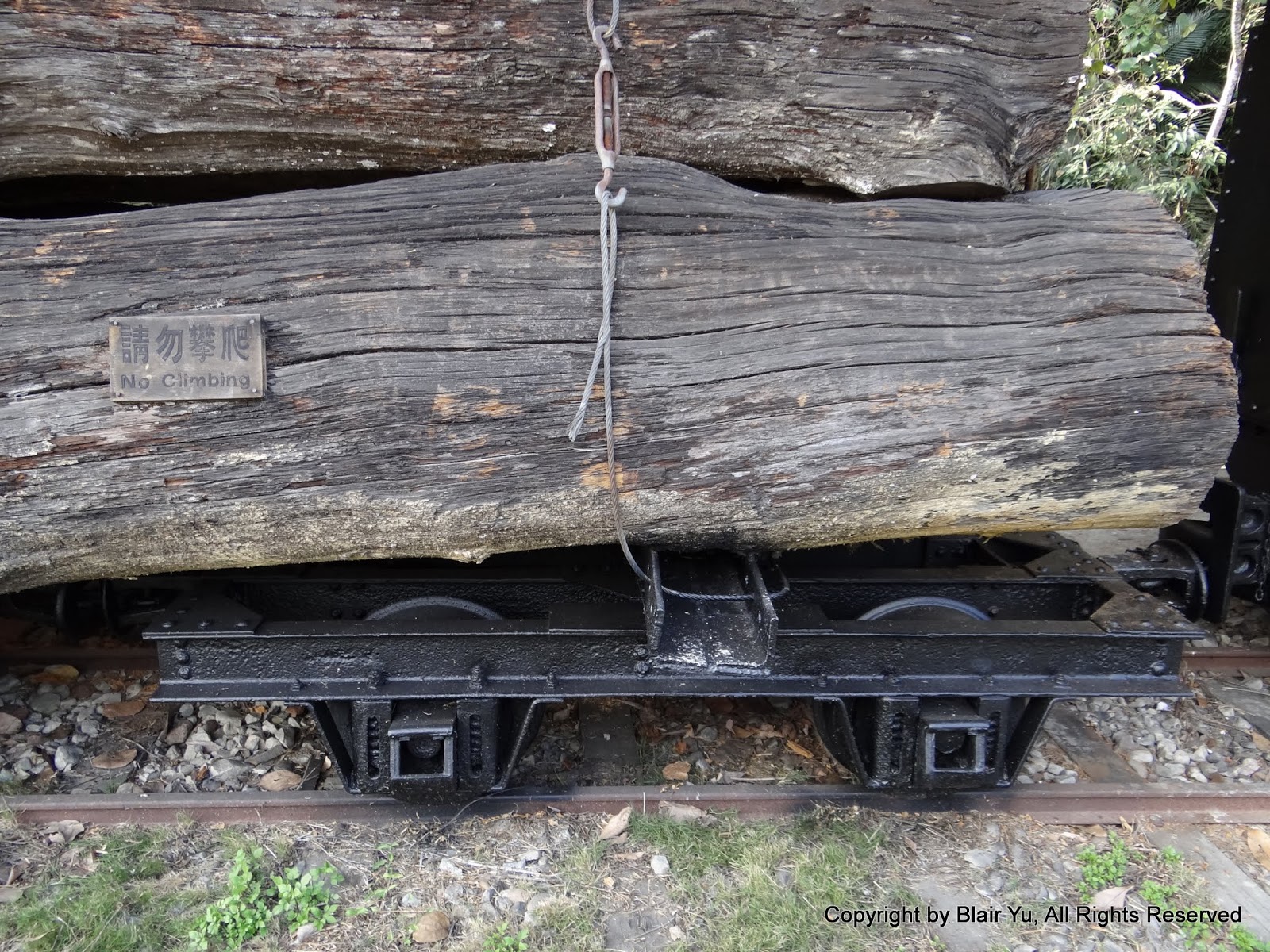 Blair's 鐵道攝影: 運木車 - 搬運原木的鐵製台車 / Forest Railway Disconnect Log Cars