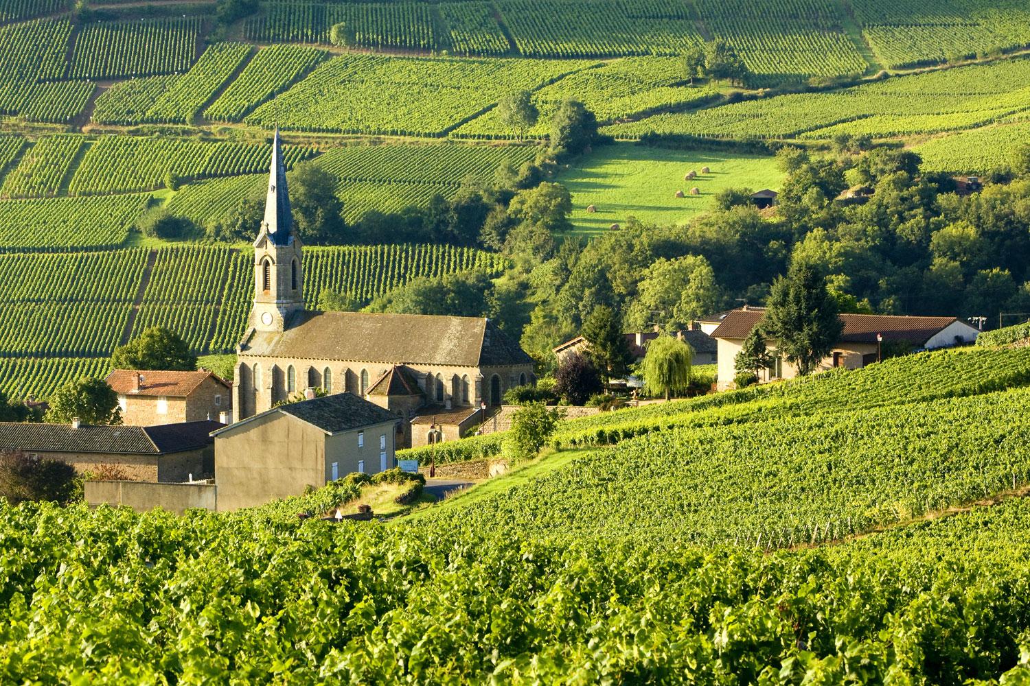 Wine Knows Fine Wine And Gourmet Food Journeys For The Discerning Traveler Burgundy And Champagne
