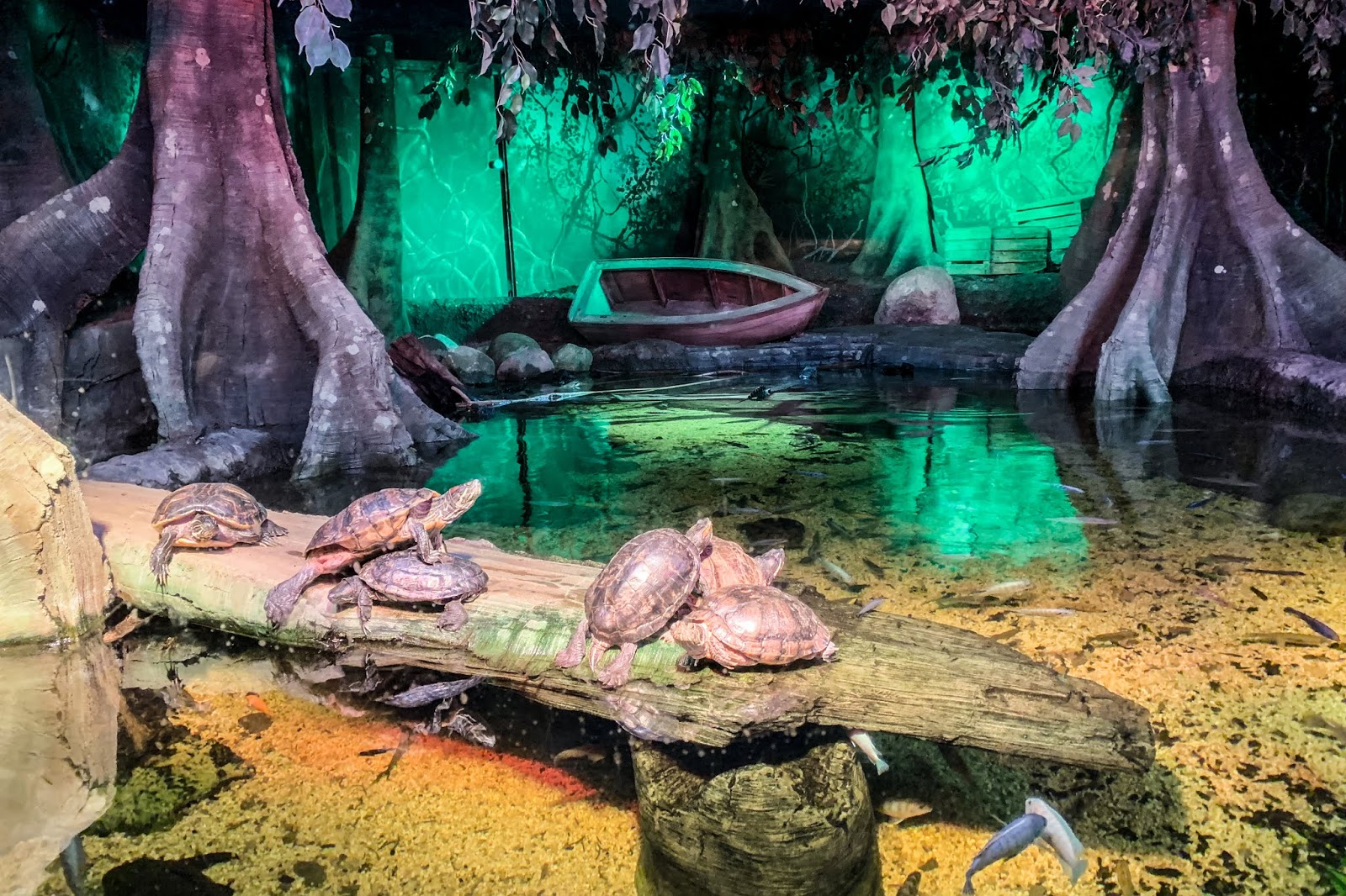 Visiting SEALIFE London With Children This Half Term - Counting To Ten