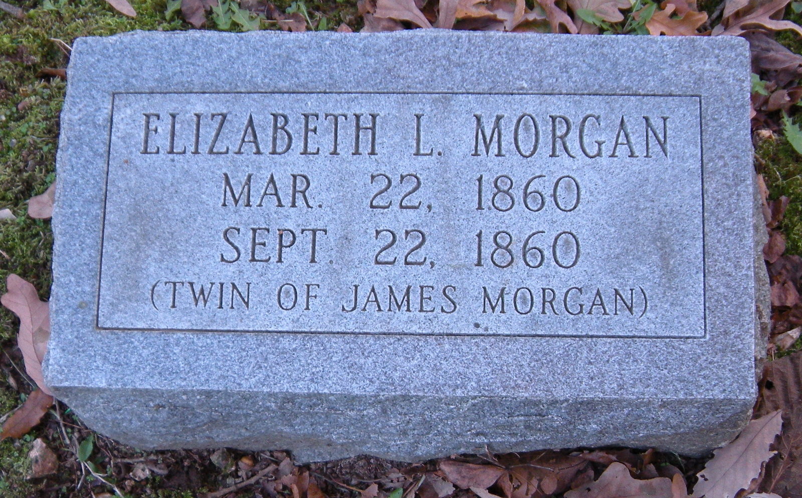 Escape to the Silent Cities: Morgan Family