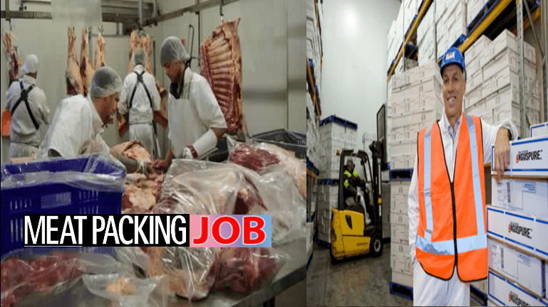 Meat Packer Jobs In New Zealand