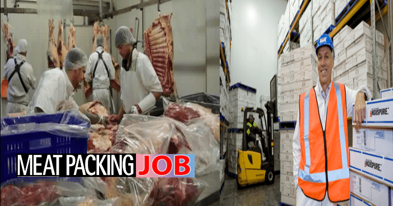 Meat Packer Jobs In New Zealand - Worldswin: jobs apply-immigration advice