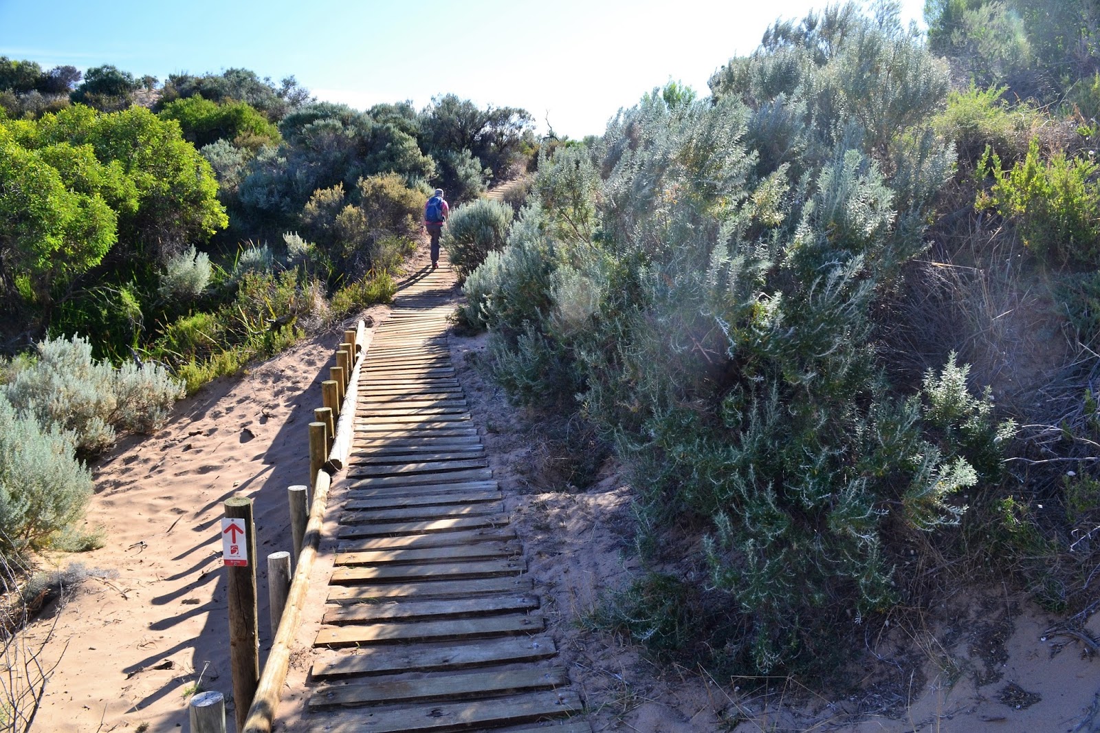 Goin' Feral One Day At A Time: Waitpinga Cliffs, Heysen Trail, Newland ...
