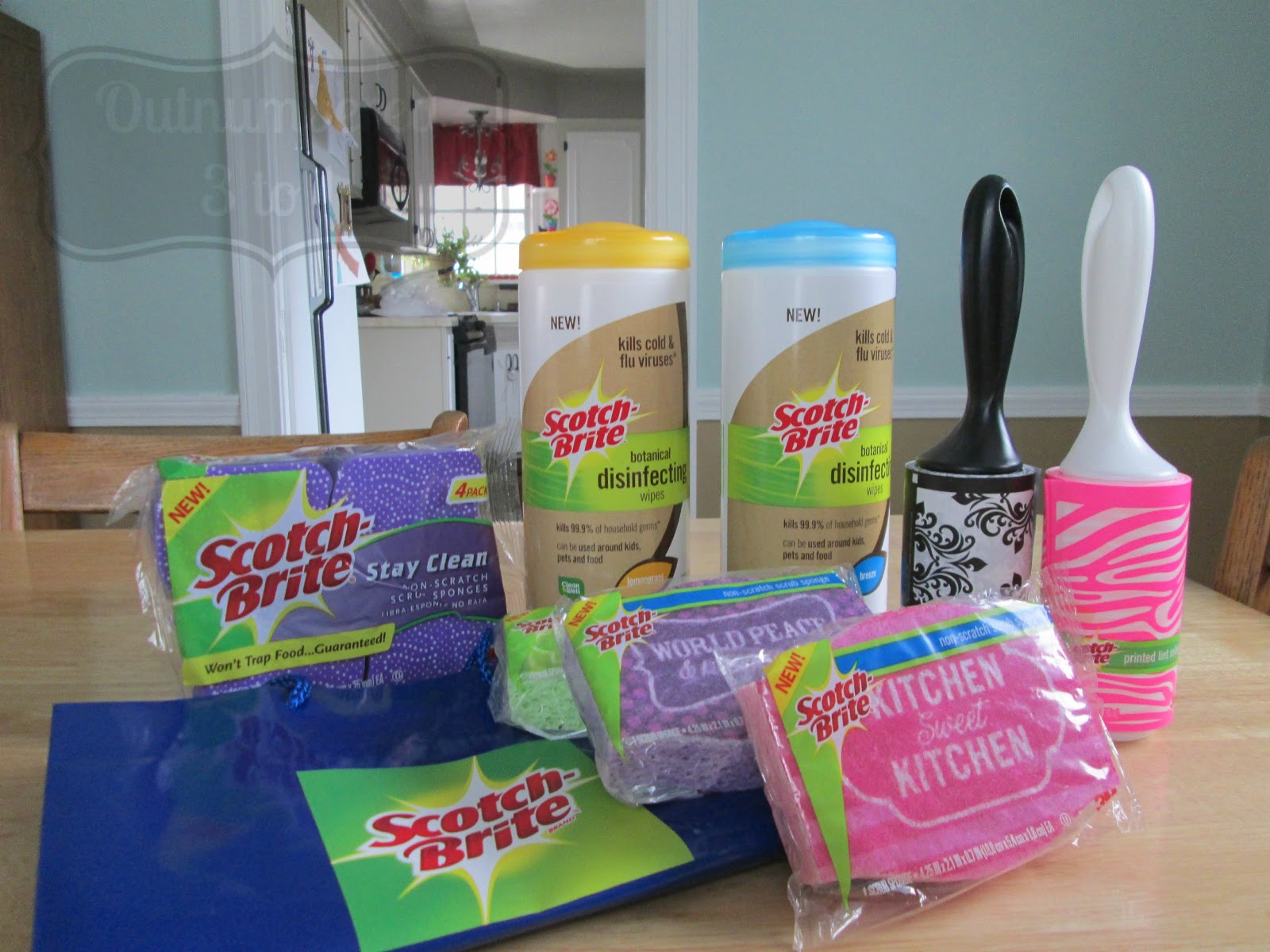 Scotch-Brite Sponge Review and Giveaway - Outnumbered 3 to 1