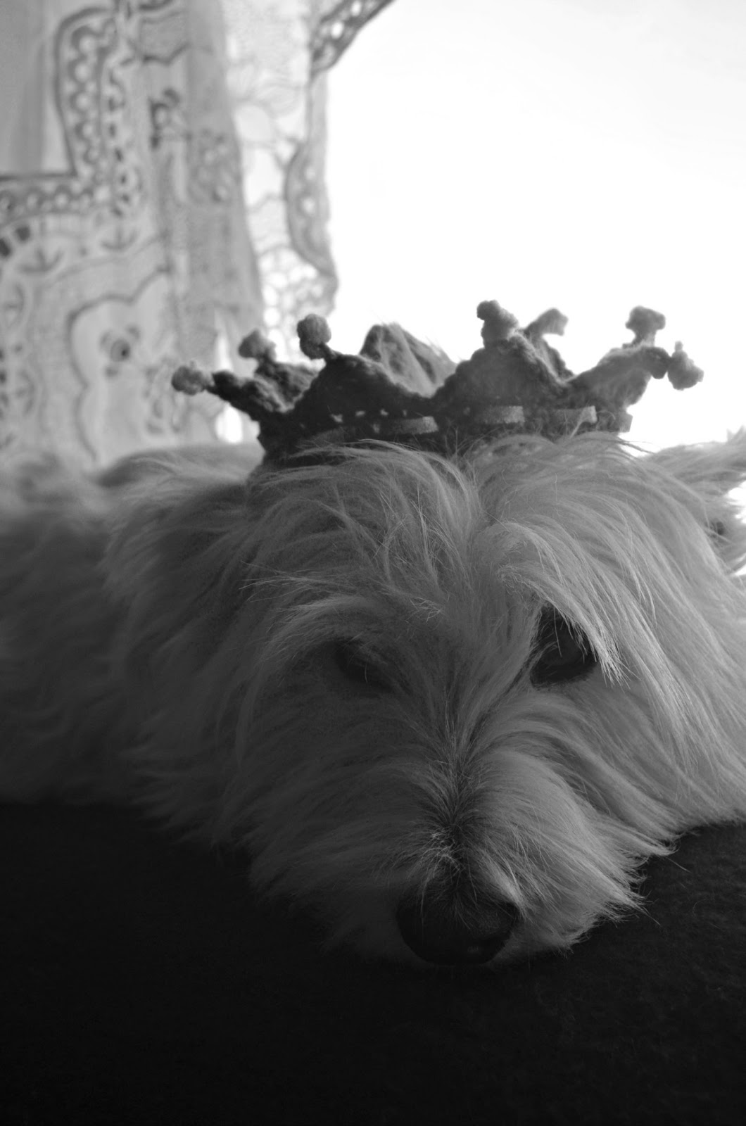 {walker whimsy}: Fairy Princess Crown {14 Days of Fluffy Stuff}