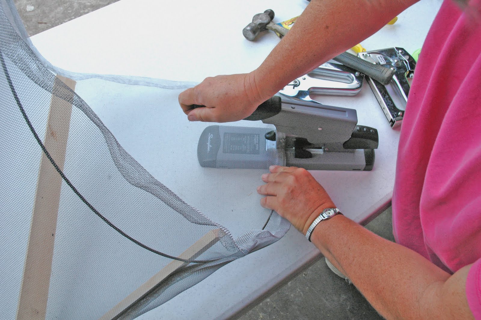 Northern Pecans: Building a pecan weevil trap