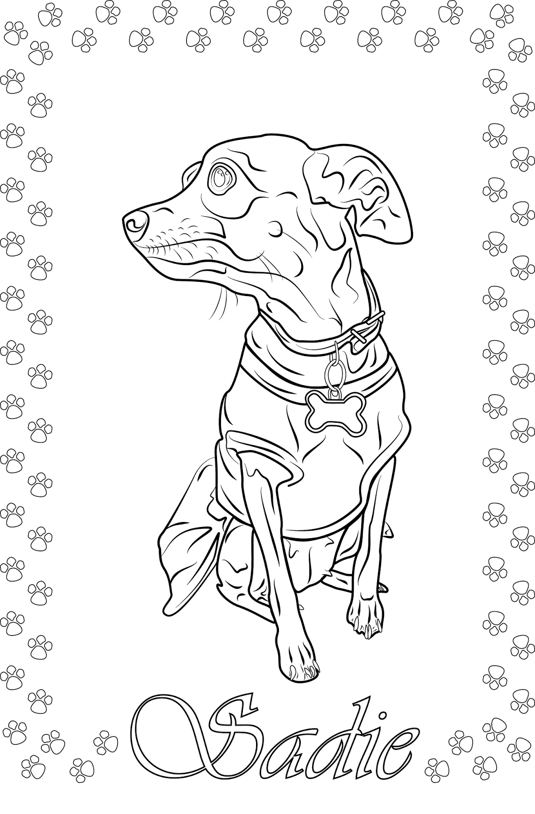 Sadie's coloring book