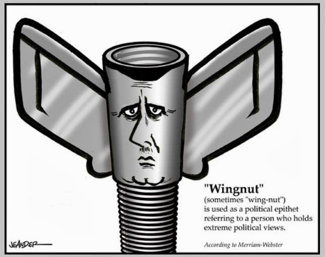 The Voices In My Head: Wingnuts (updated)