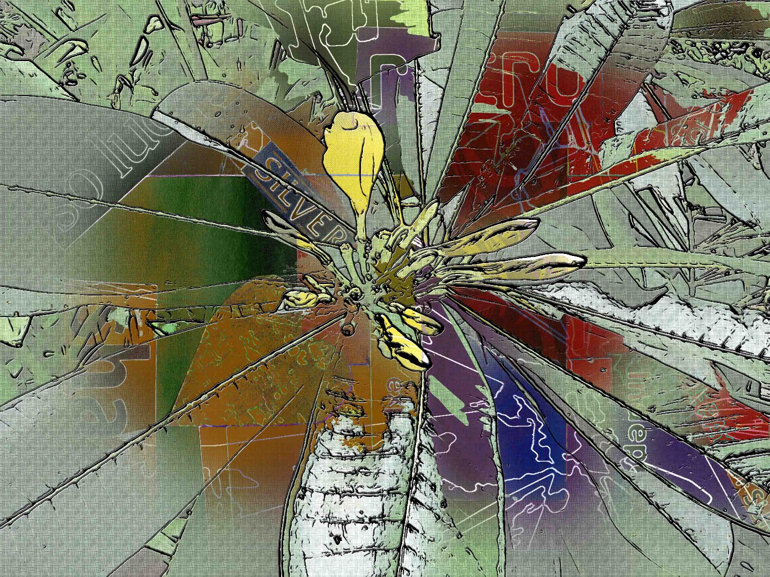 Image Artistry: Abstract Art from Nature