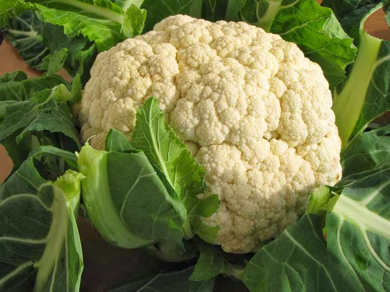 Cestas del Campo a Casa, verdura ecológica: COLIFLOR CON ALUBIAS BLANCAS