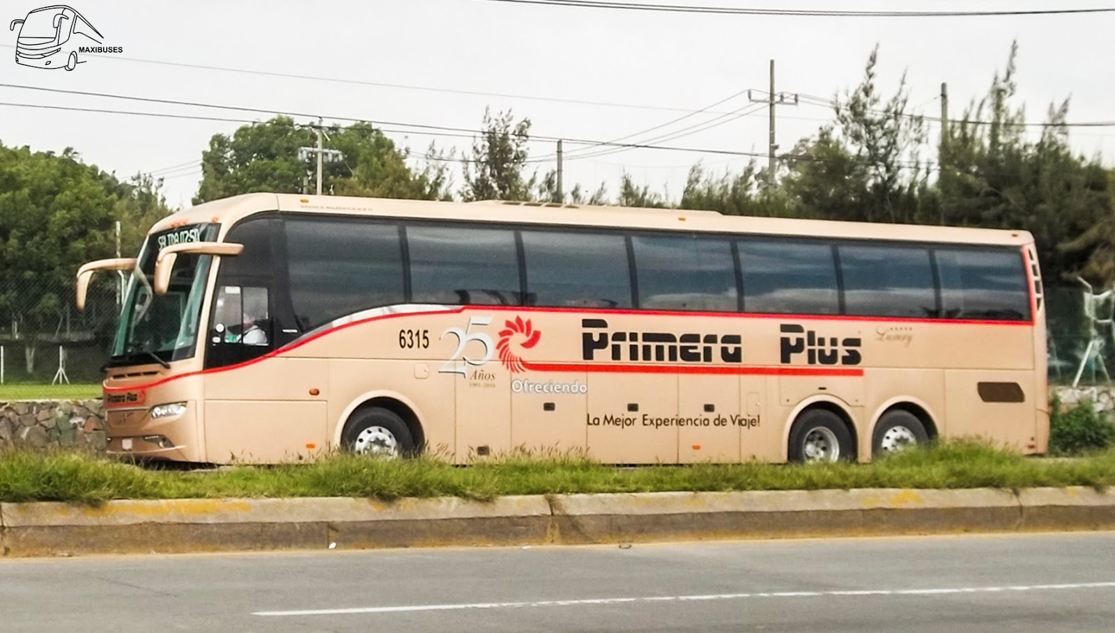 MAXIBUSES: PRIMERA PLUS