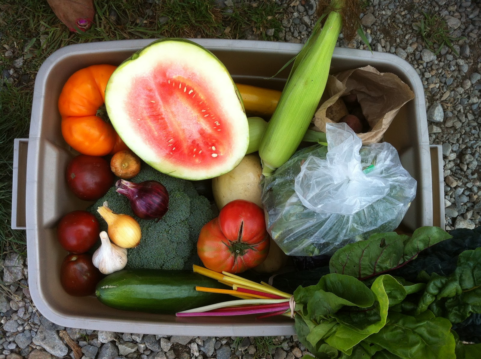 Ferndale Farms: CSA (Veggie Box)