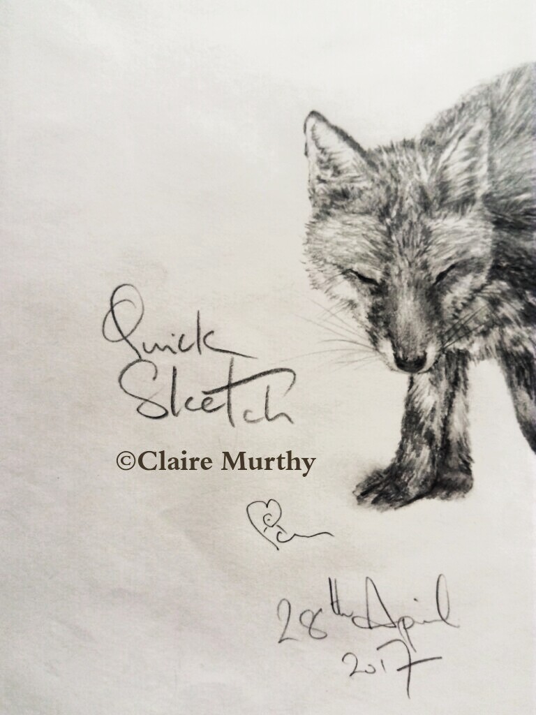 British Wildlife Sketches