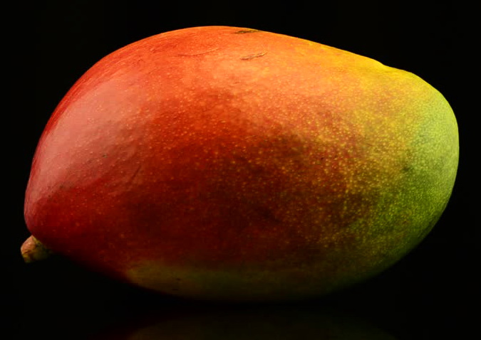 OM TAT SAT: Ganesha's Favorite Things