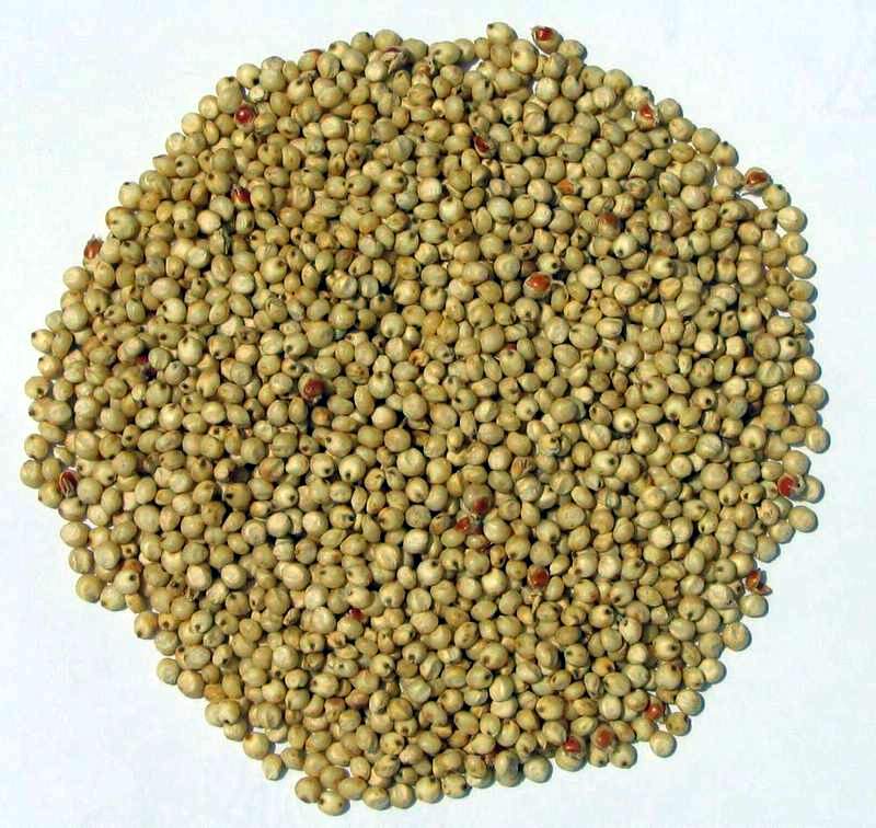 Agriculture and Industrialisation of India and UK