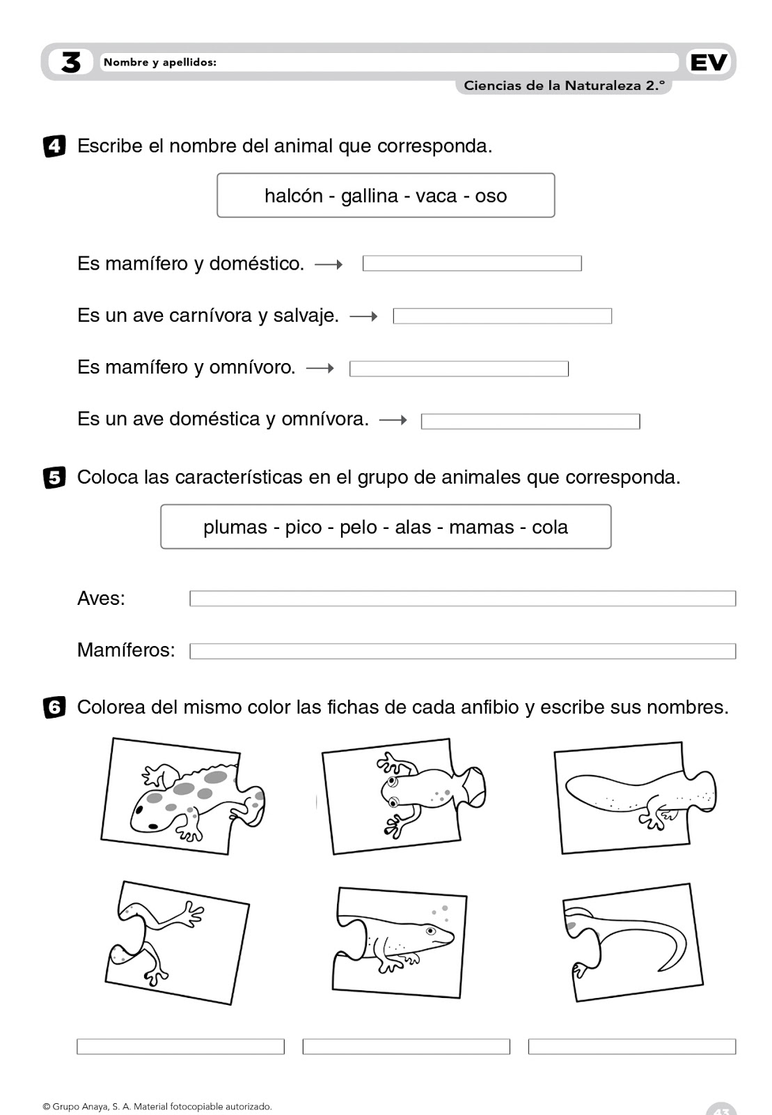 *Mi maestra Rocío*: Fichas de repaso de sociales y naturales