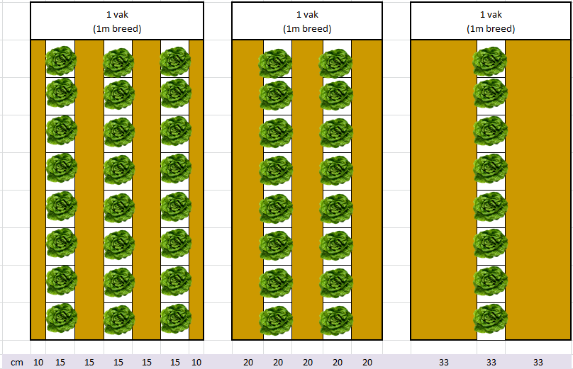 Moestuinplan maken in Excel | De Boon in de Tuin