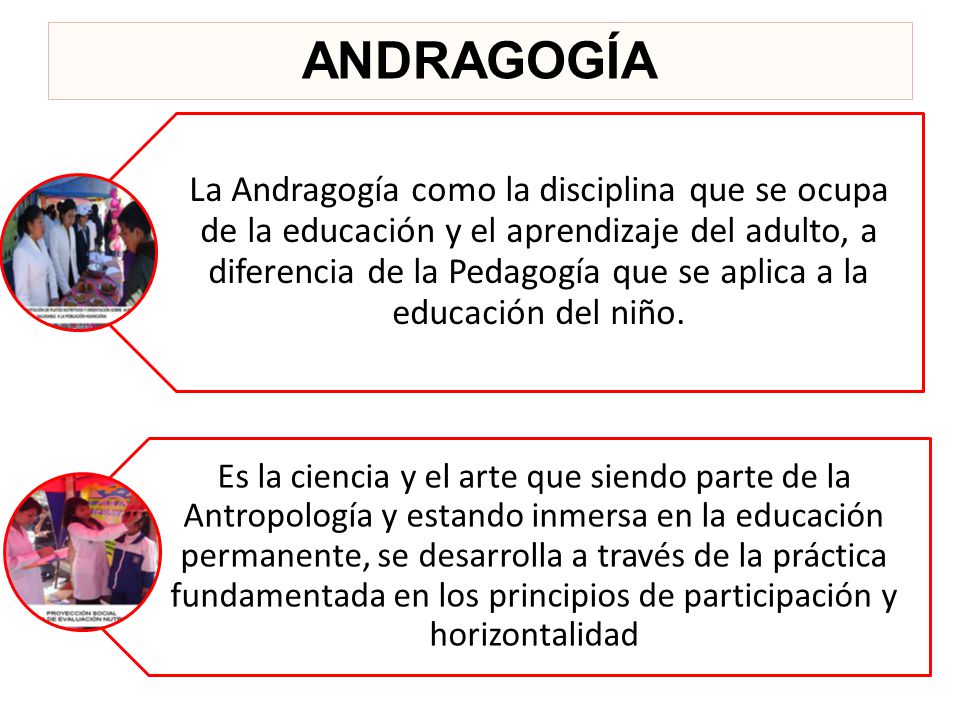 E-DUTECA: Andragogía