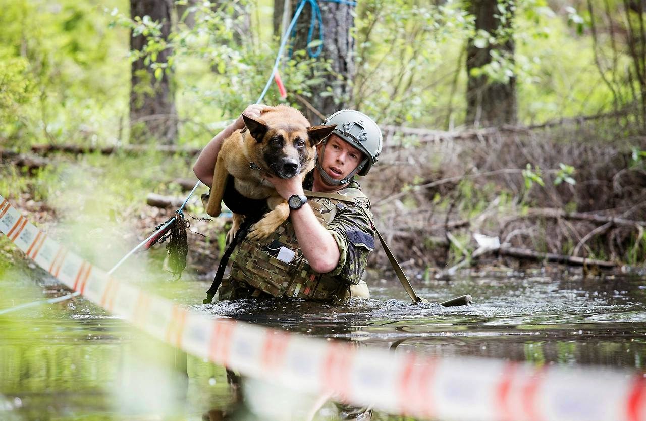 Swedish soldier participating in a large scale international dog ...
