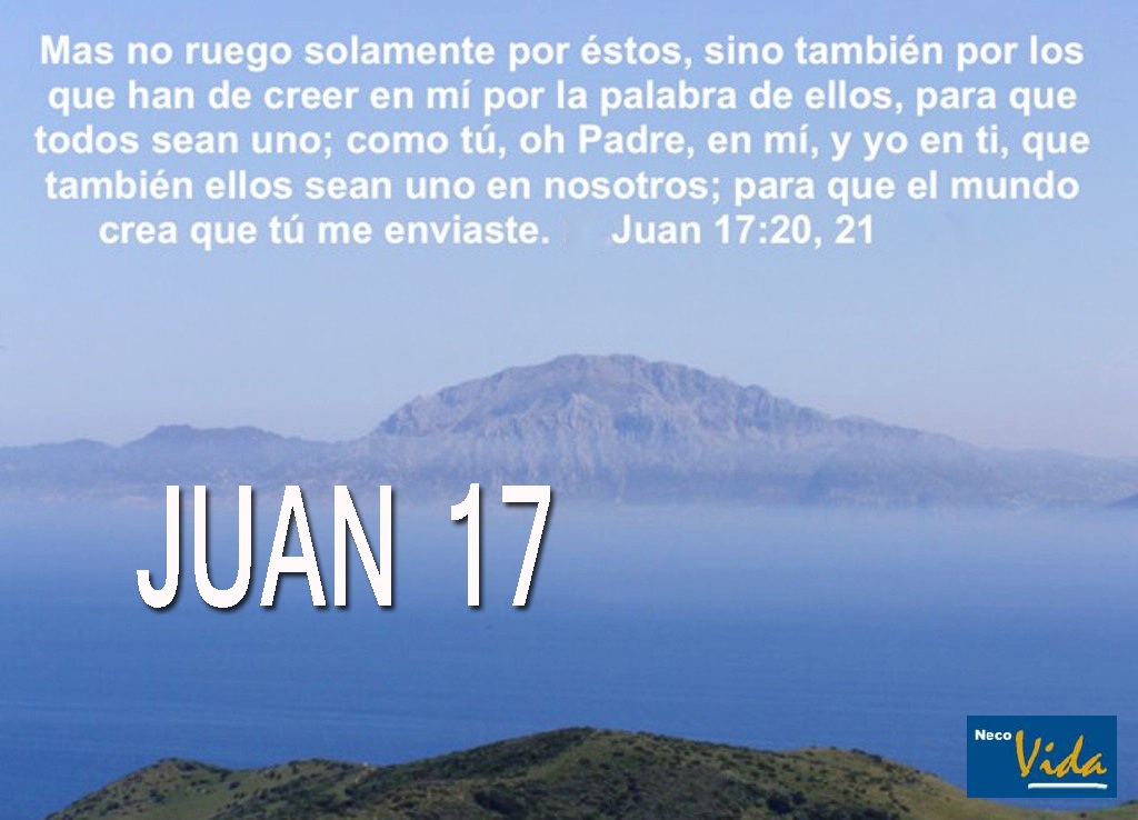 Neco Vida: Leyendo... Juan Capítulo 17.