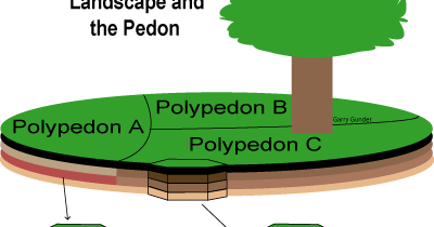 PERTANIAN KITA: PENGERTIAN PEDON DAN POLIPEDON