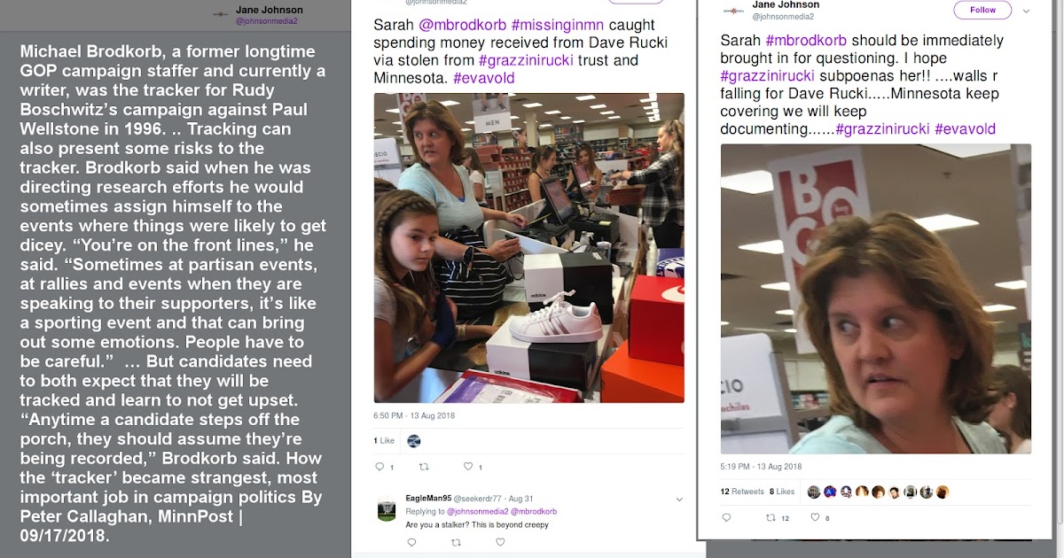 Lion News: Eagan Detective Daniel Spiess Admits To Destroying City ...