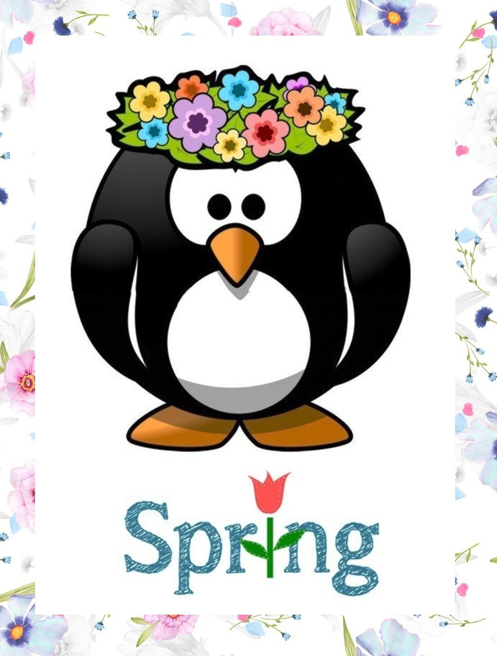 Contes d' Animals: En PINQUI i la PRIMAVERA