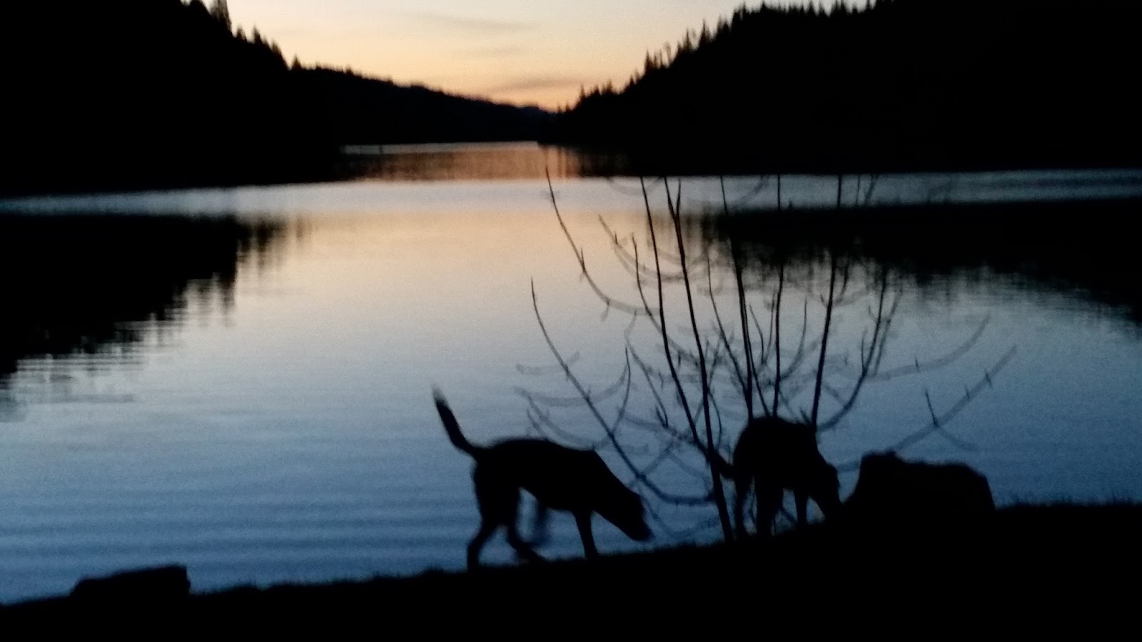 Wes' Travels to California Lakes: Ruth Lake - Trinity County, California