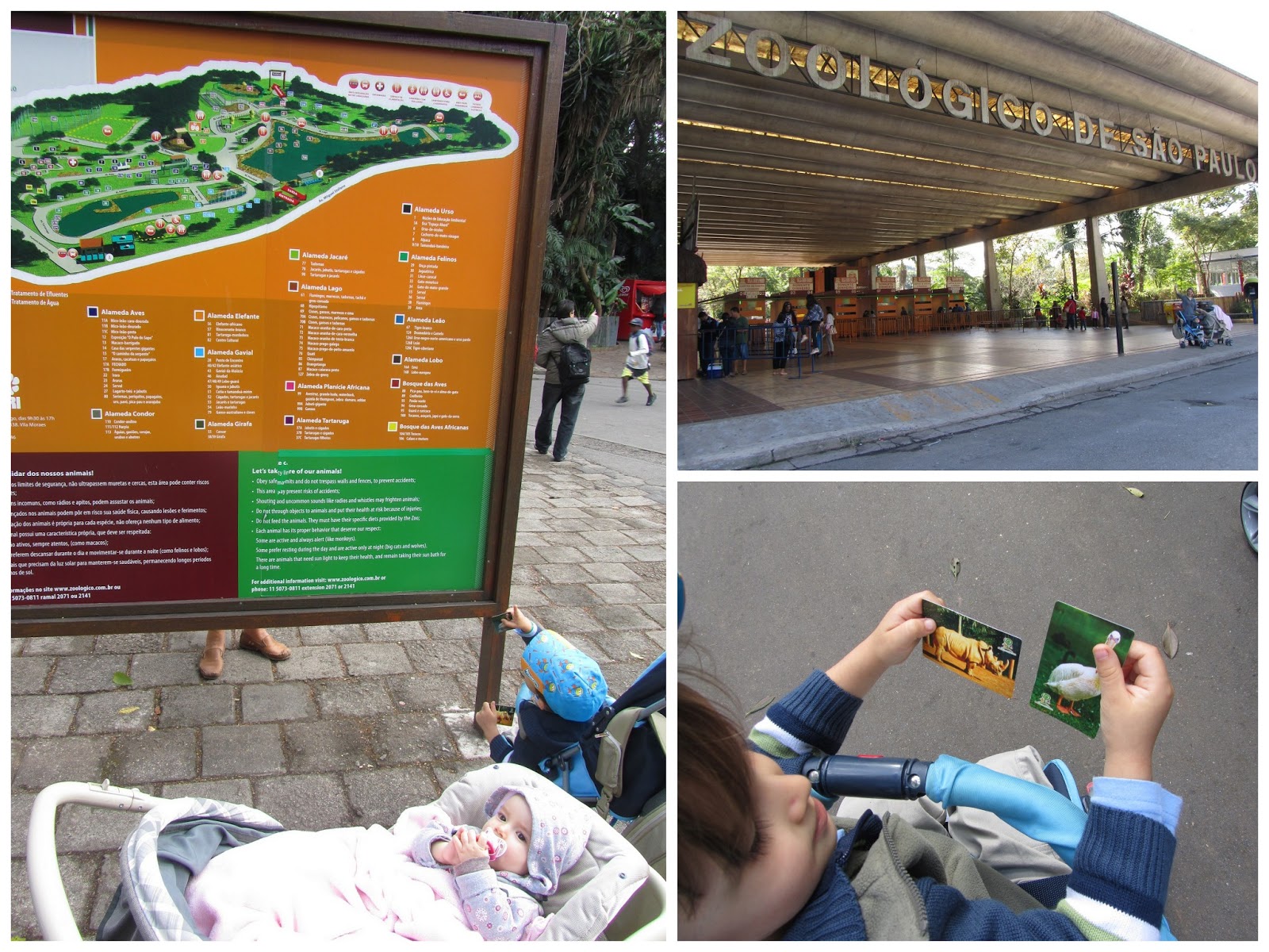 Viaje mais por menos: ZOOLÓGICO DE SÃO PAULO