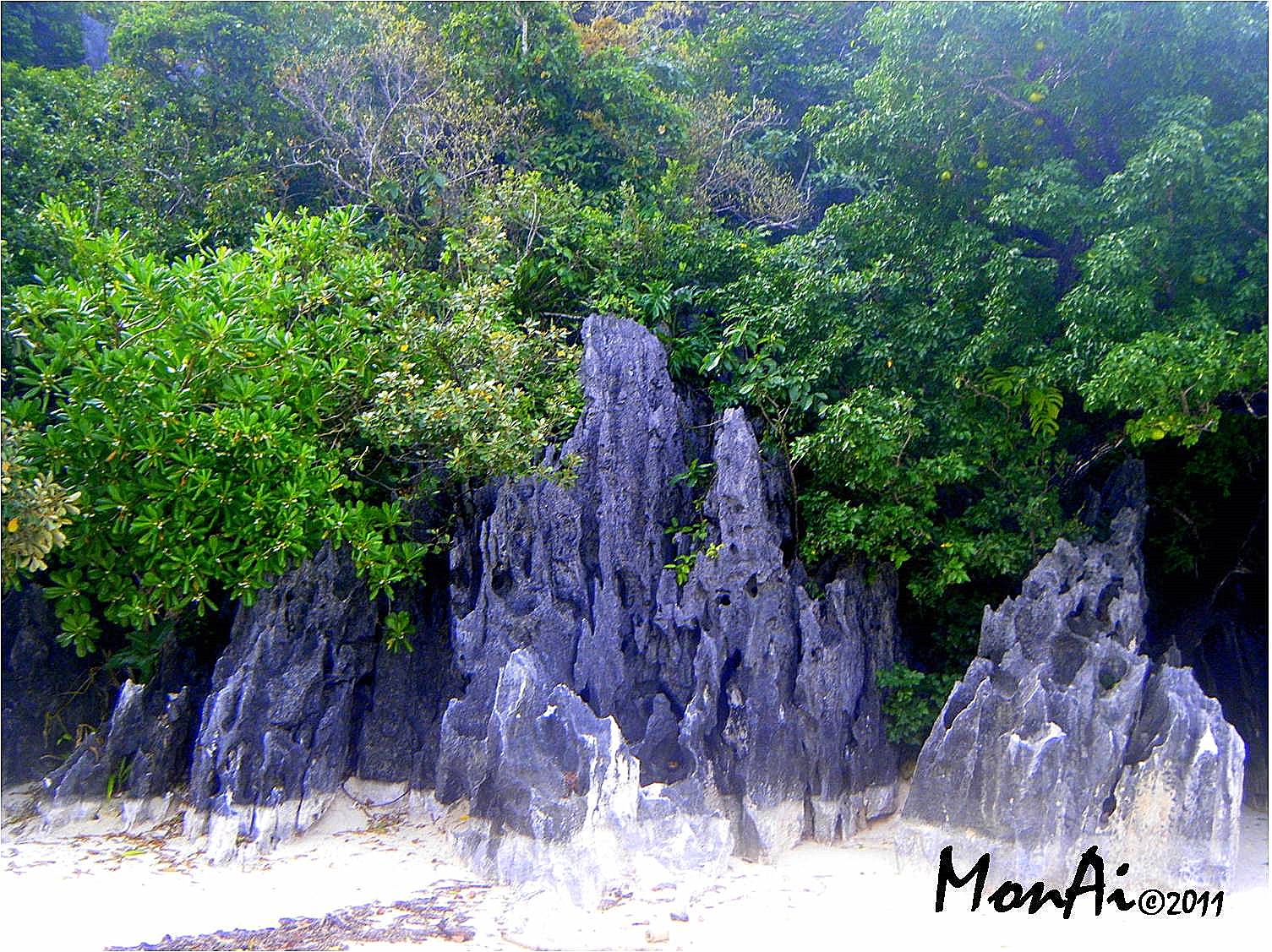 CARAMOAN│Matukad Island ~ Lakwatsa Lovers