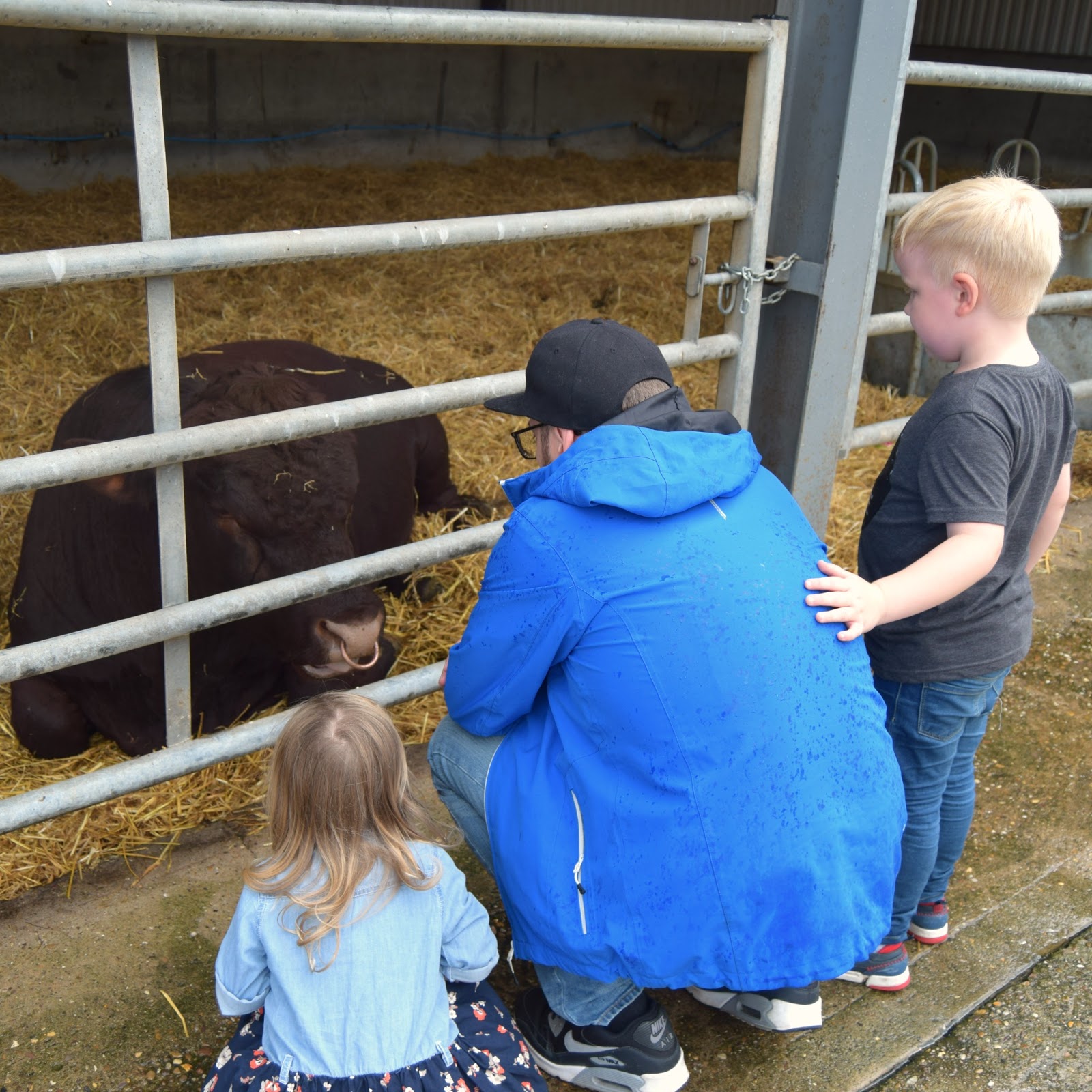 Wafflemama.: Summer Fun || Rand Farm Park Lincolnshire