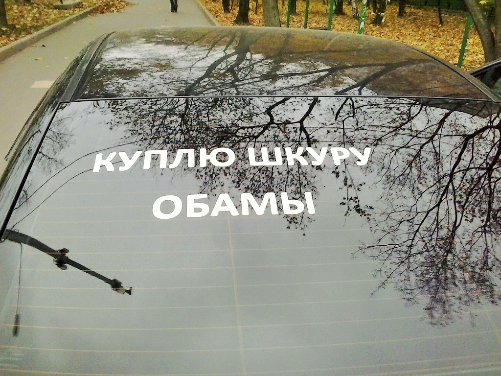 Автоблог: Шкуру