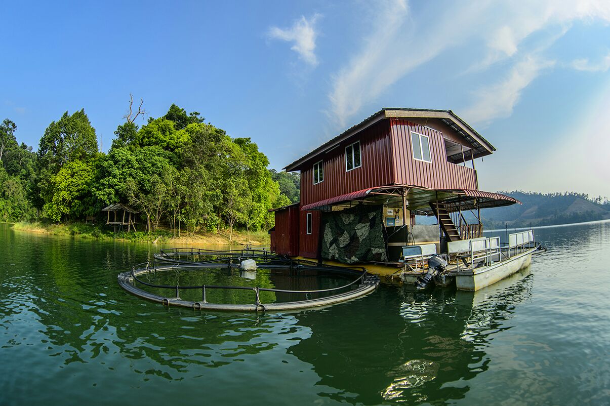 Malaysia Lakes Exploration 马来西亚湖泊游踪: Malaysia Peninsular Lakes, Kedah ...