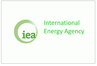 Real Fun with Flags: International Flags