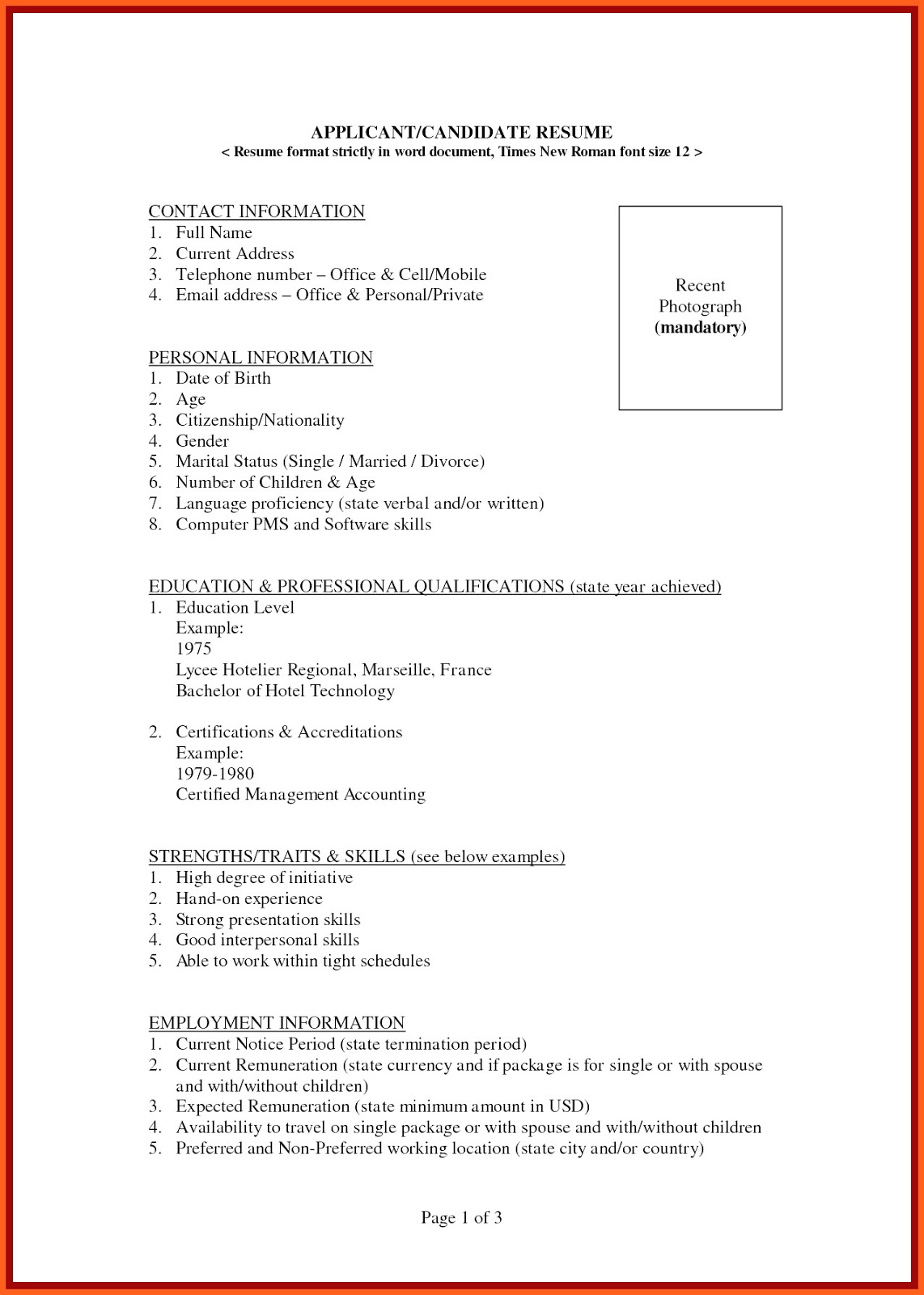 Biodata format for job application