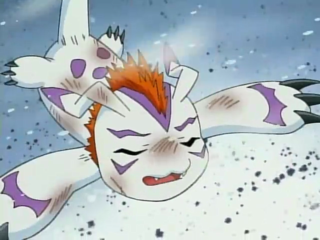 Digi-Arquivo: Gomamon ~ PMD || Acervo de Imagens de Digimon e Pokémon ...