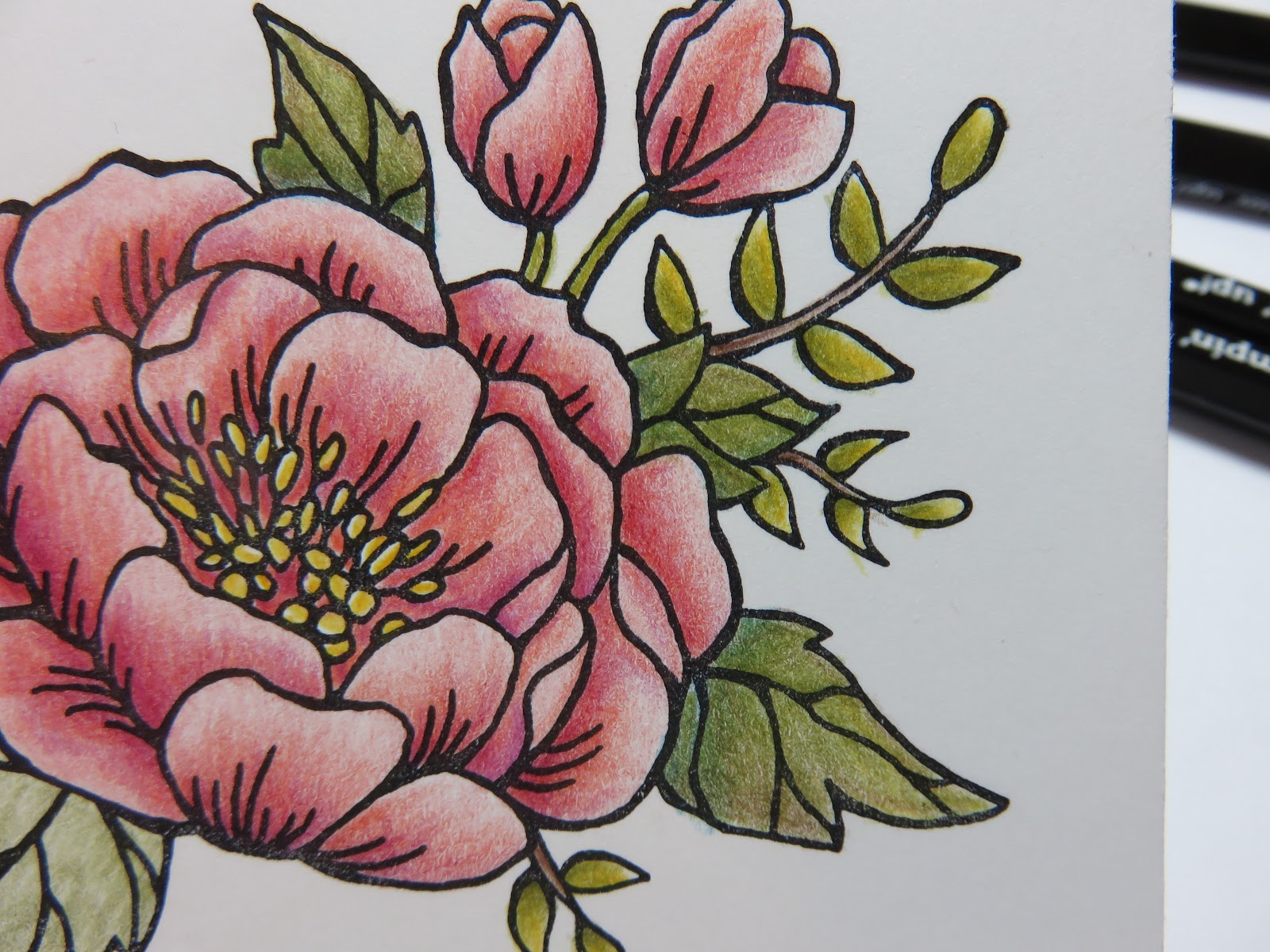 Stampin' with Kathryn: Coloring and Birthday Blooms
