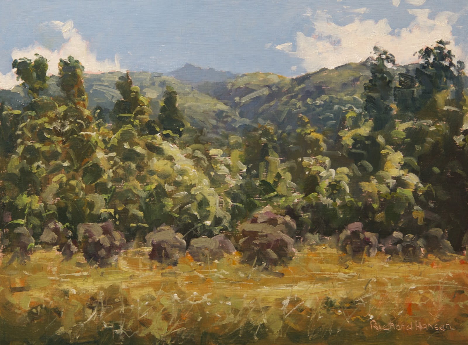 Richard Hansen - Painting Notes