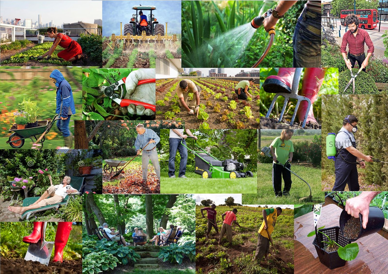 GardeningID: Users, Activities and Physical Environments of Gardening