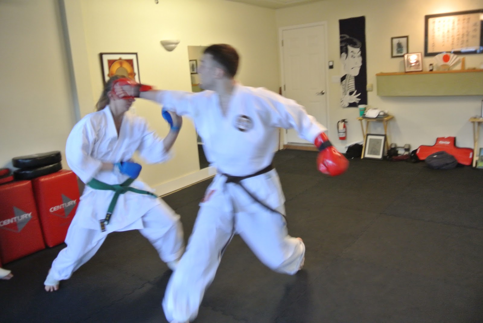 SeiwaKai of Texas Goju-Ryu Karate-do: Dojo Action - June, 2013